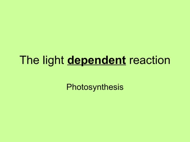 Photosynthesis light dependent reactions | PPTX