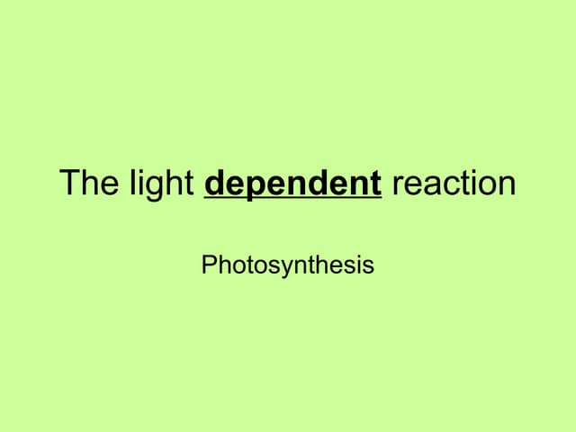 Light independent reactions of photosynthesis | PPTX