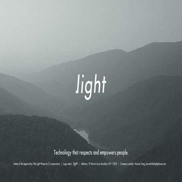 Light Business Overview | PDF