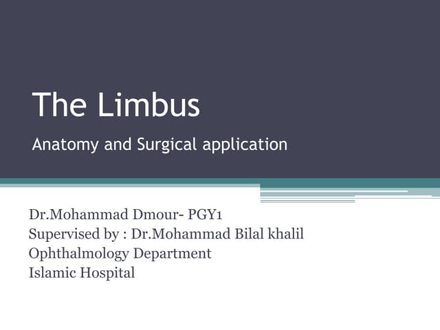 Limbus of the Eye: Anatomy, Functions, and Clinical Significance | PPTX