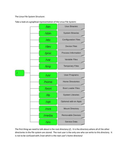 The Linux File System Structure Docx Operating Systems Computer Software And Applications