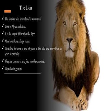 The Lion.pptx