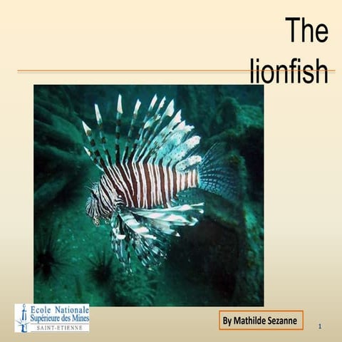 The lionfish | PPTX