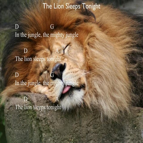 The Lion Sleeps Tonight | PPT