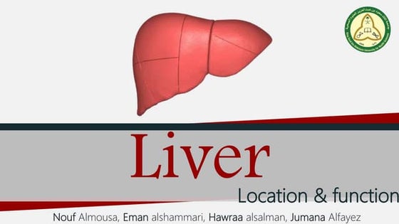 liver | PPT