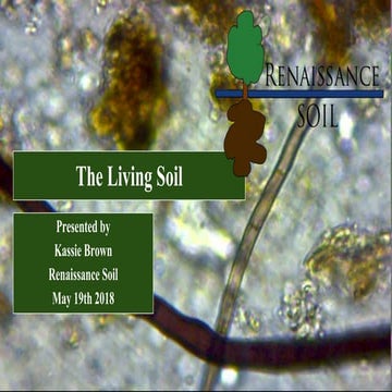The Living Soil | PDF