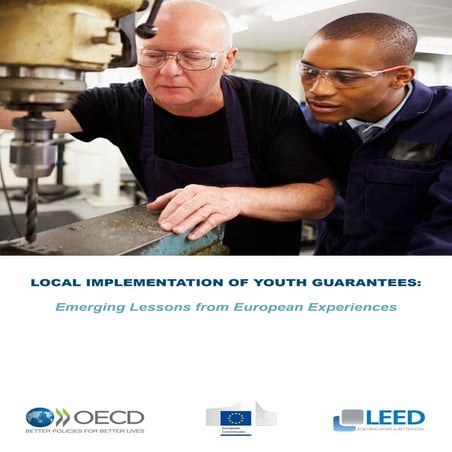 The Local Implementation of Youth Guarantees Final YOUTH2015 | PDF