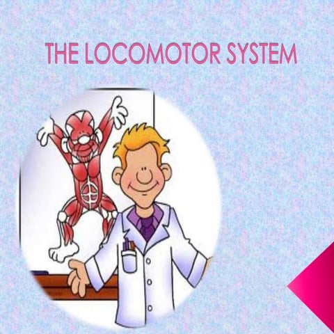 The locomotor system | PPTX