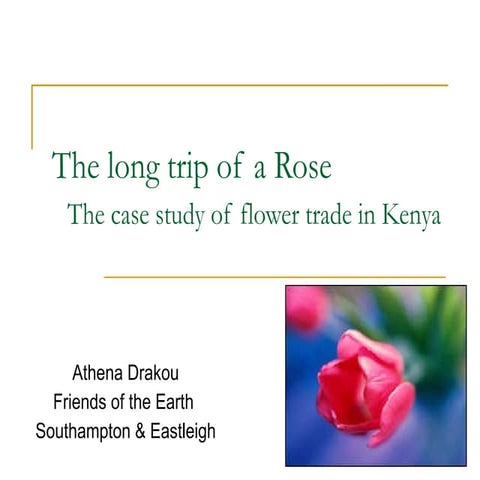 The Long Trip Of A Rose: The Case Study of Flower Trade in Kenya | PPT