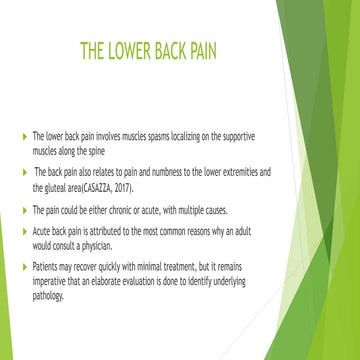 The lower back pain | PPT