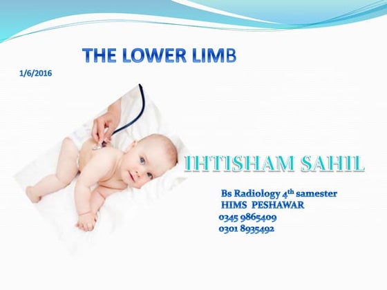 Lower limb radiology | PPT