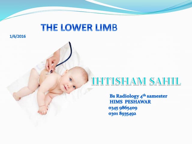 ROUTINE PROJECTIONS FOR HAND............ | PPTX