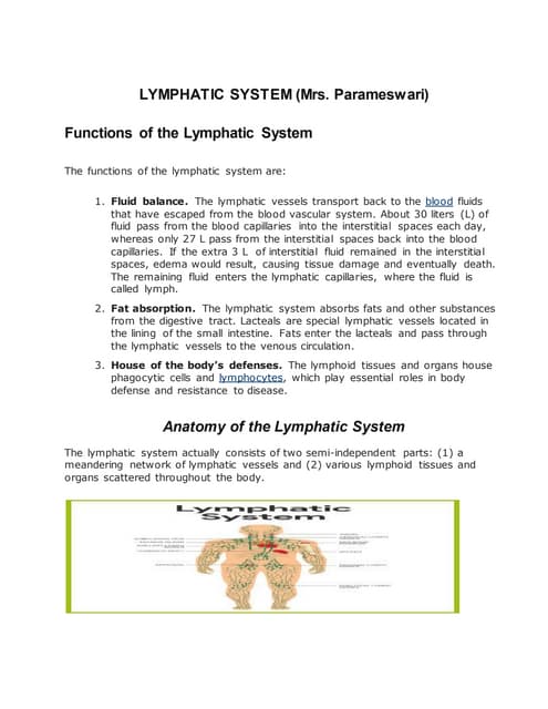 Lymphatic System Notes | PPT