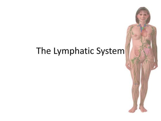 Lymphatic system: Anatomy and Physiology | PPTX