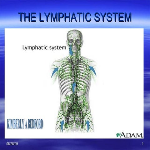 The Lymphatic System Presentation 2 Chapt. 6&7 | PPT