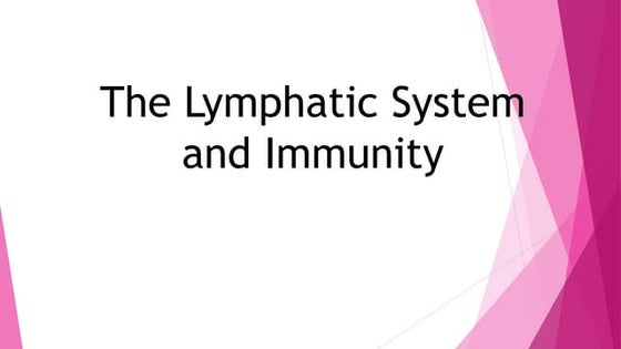 Lymphatic and immune system | PPT