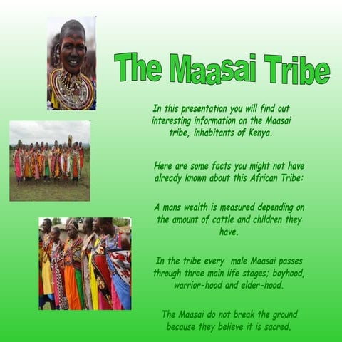 The Maasai Tribe | PPT
