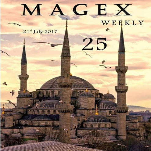 The MAGEX Weekly #25 | PDF