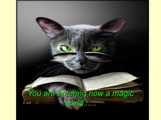 Magic cat | PPT