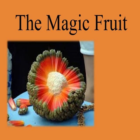 The magic fruit | PPT