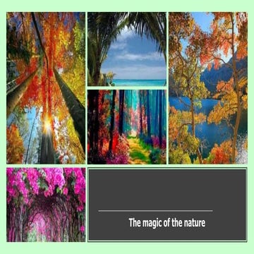 The magic of the nature | PPTX