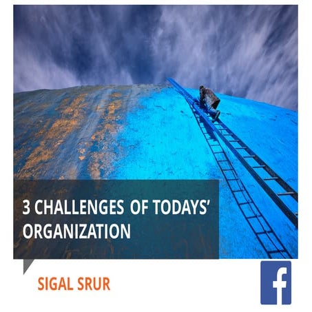 The main challenges of the new organizations | PDF
