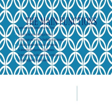 The main functions.pptx