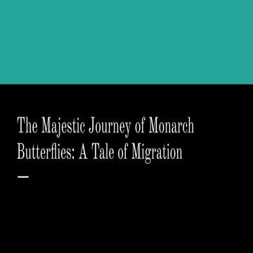 The Majestic Journey of Monarch Butterflies_ A Tale of Migration.pdf