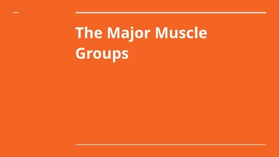 Force summation powerpoint | PPT