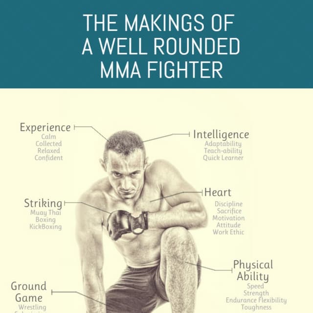 THE MAKINGS OF A WELL ROUNDED MMA FIGHTER INFOGRAPHIC | PDF