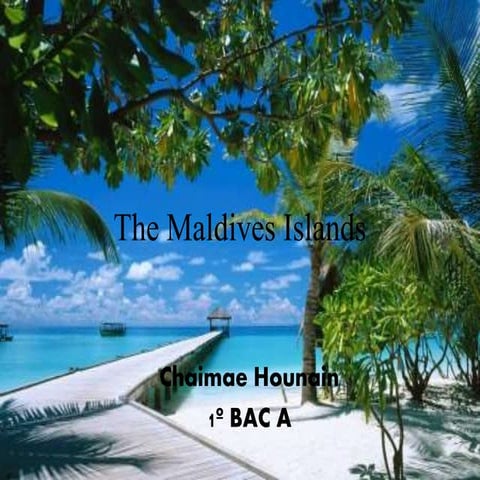 The maldives islands | PPTX | Asia Travel | Travel Locations