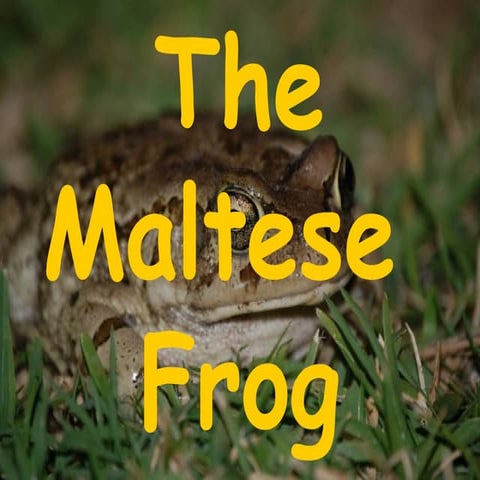 The Maltese Frog | PPS