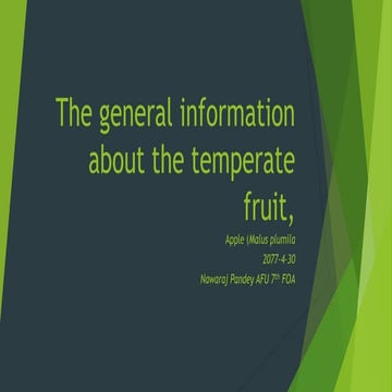 APPLE(malus pumila) temperate fruits | PPTX