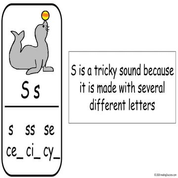 The many sounds of s : s, ss, se, ce, ci, cy | PDF
