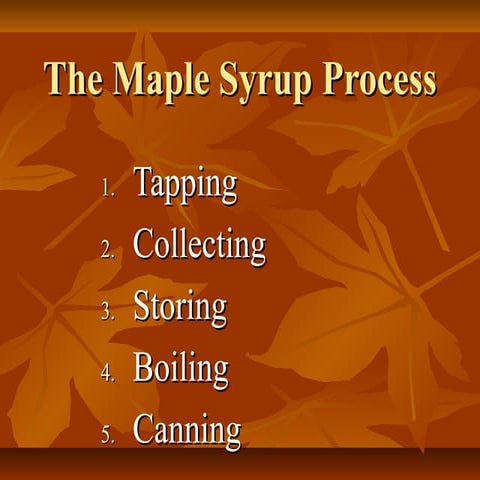The Maple Syrup Process at Johnson Sugar Camp | PPT