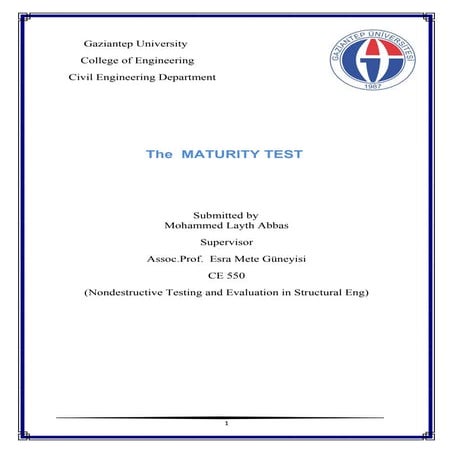 The maturity test | PDF