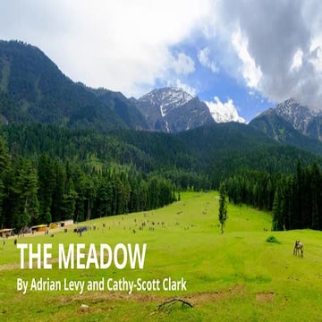 Book Review of The Meadow by Adrian Levy and Cathy Scott Clark | PPTX