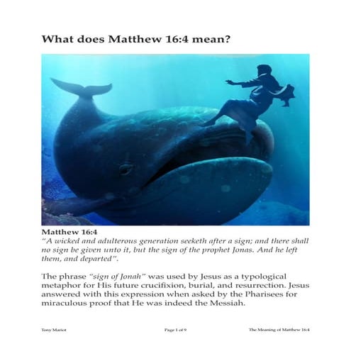 The Meaning of Matthew 16:4 | PDF