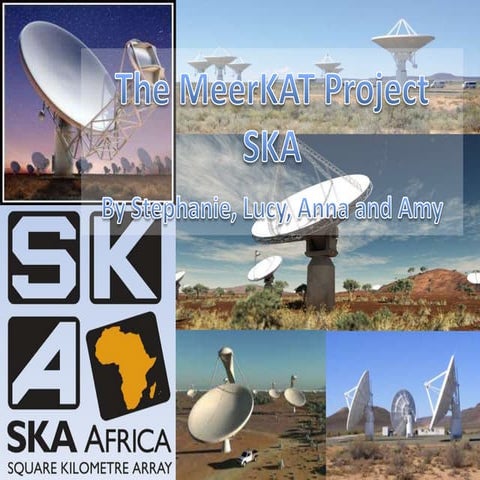 The meer kat project | PPTX