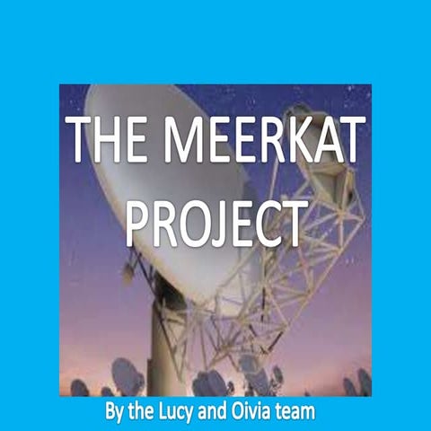 The meerkat project | PPTX