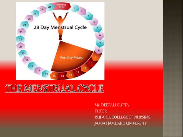 Menstrual Cycle Hormonal Regulation Pptx 2506