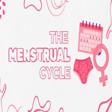 THE MENSTRUAL CYCLE - GRADE 10 PPT SCIENCE | PDF