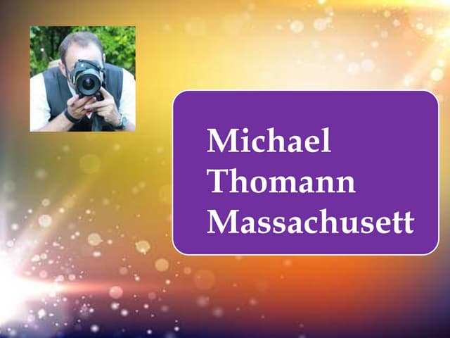 Michael thomann whitman is experienced person