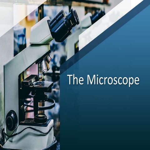 History of the Microscope | PPT