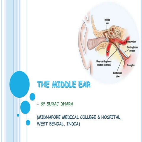 THE MIDDLE EAR | PPTX