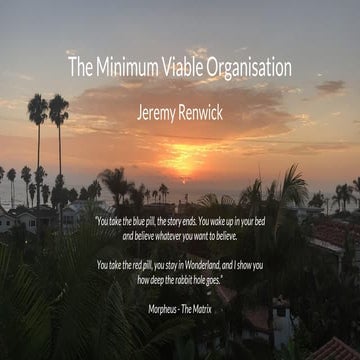 The Minimum Viable Organisation | PDF