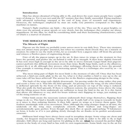 The miracle in birds. english | DOC