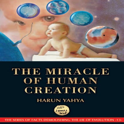 The miracle of human creation. english | PDF