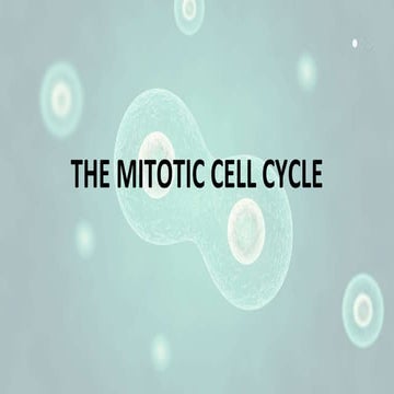Stages of mitotic cell cycle A Level Biology | PPTX