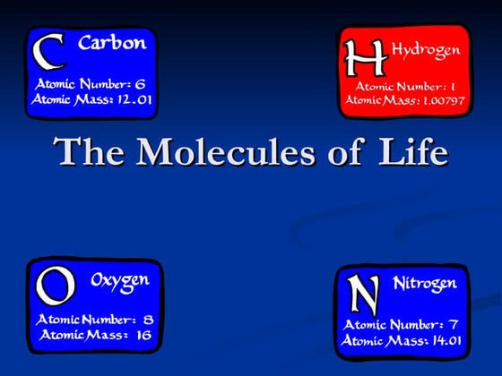 IGCSE Biology Edexcel (9-1) Biological molecules | PPTX | Digestive ...